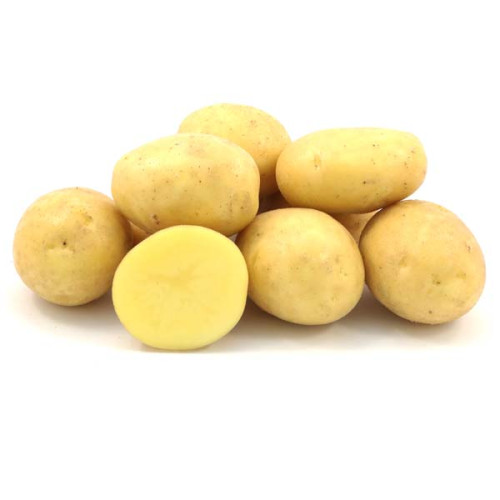 Семенной картофель Королева Анна (1 репродукция) купить в Украине ...